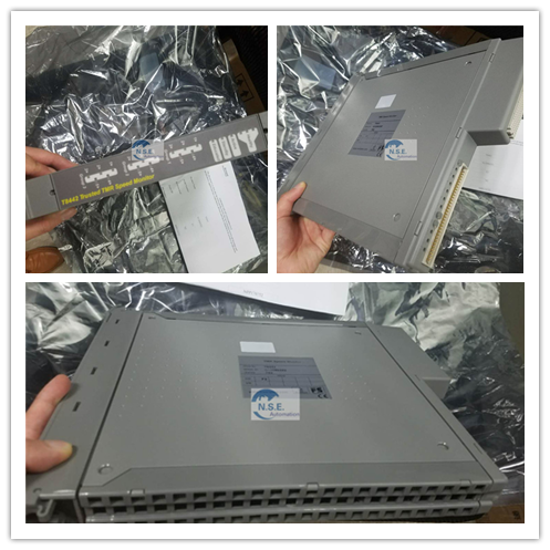 ICS Triplex T8403 TrustedTM TMR 24V dc Digital Input Module T8310/T8311 ...